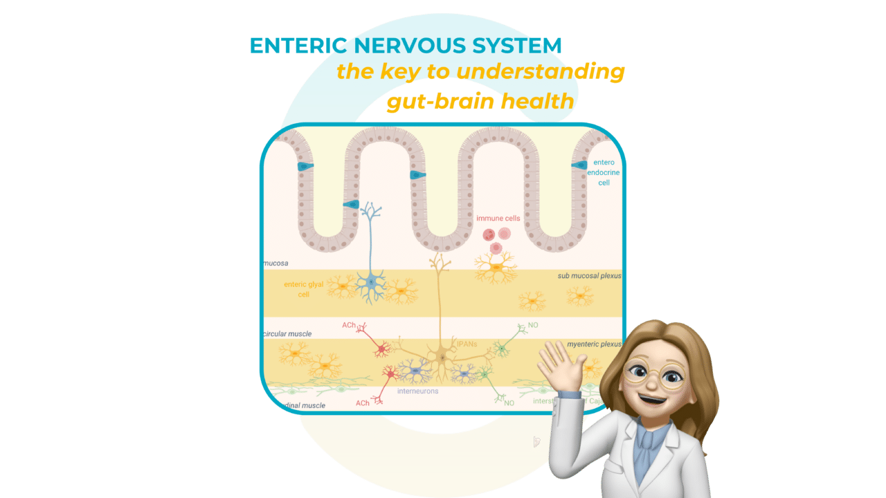 Enteric nervous system: gut-brain communication&metabolic health